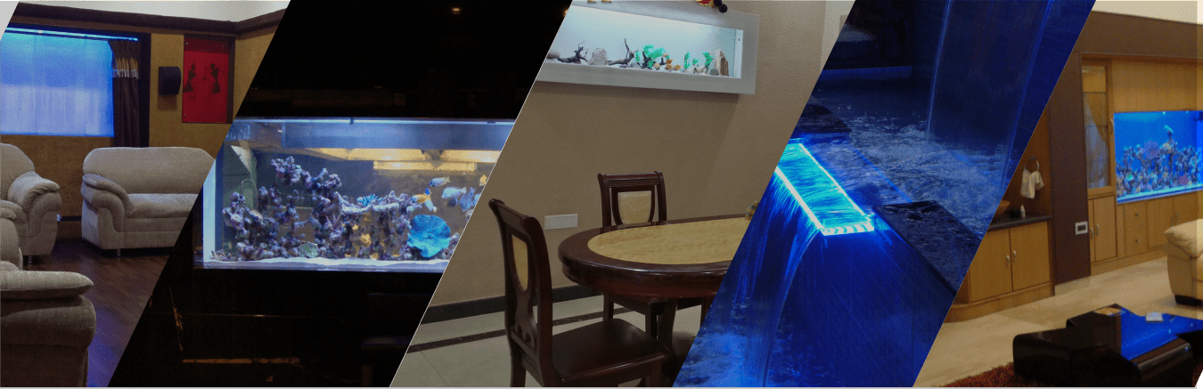 Work | Living Art Aquarium - Expertise in Aquarium & Pond